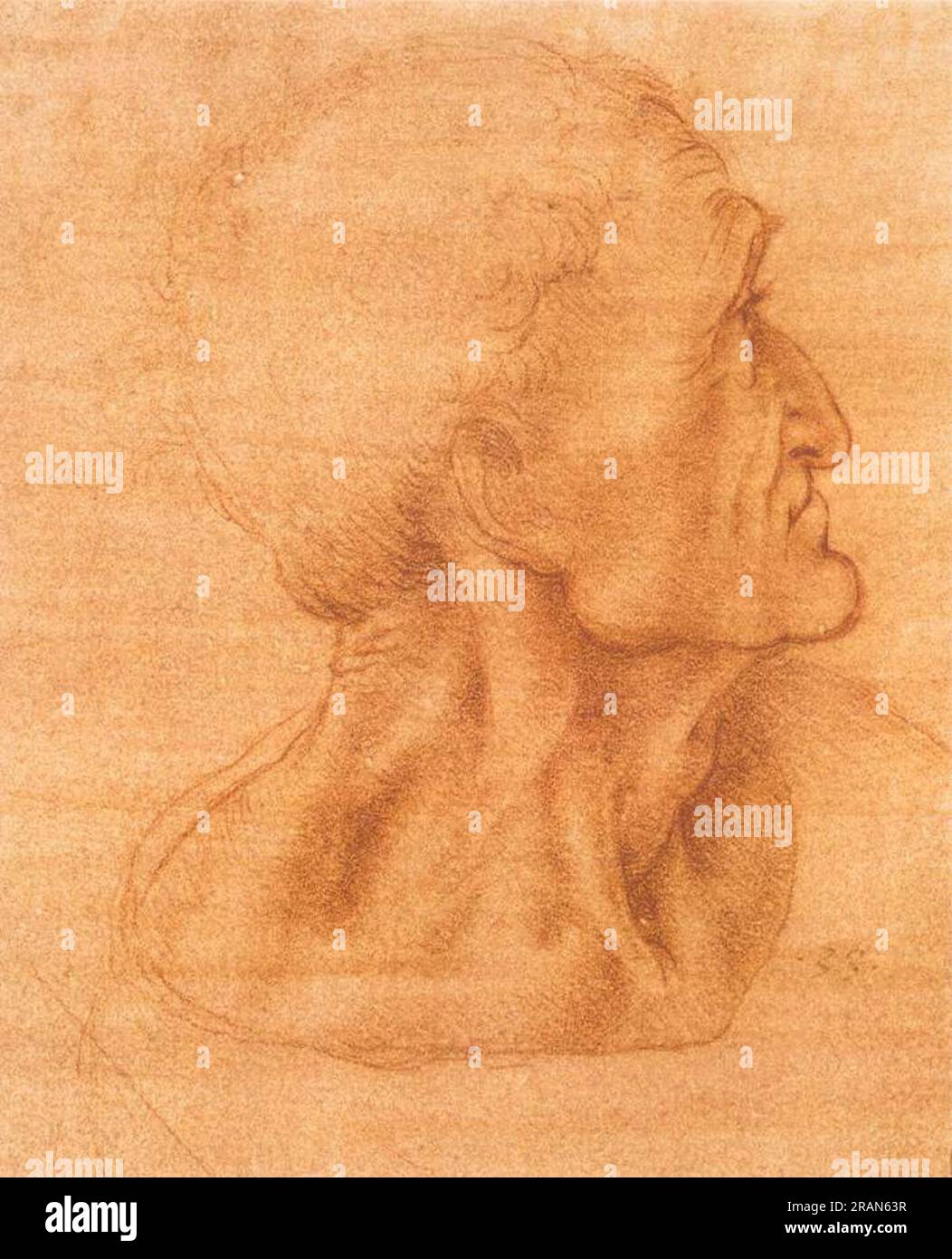 Study for the Last Supper: Judas c.1495; Milan, Italy by Leonardo da ...