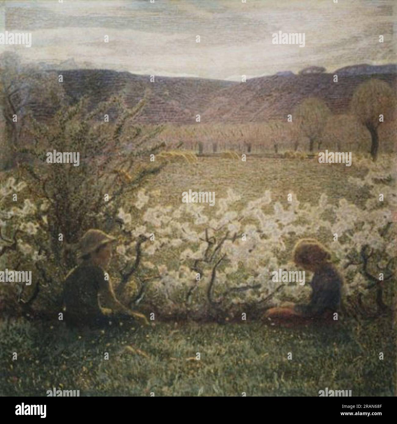 Flowery meadow 1903 by Pellizza da Volpedo Stock Photo - Alamy