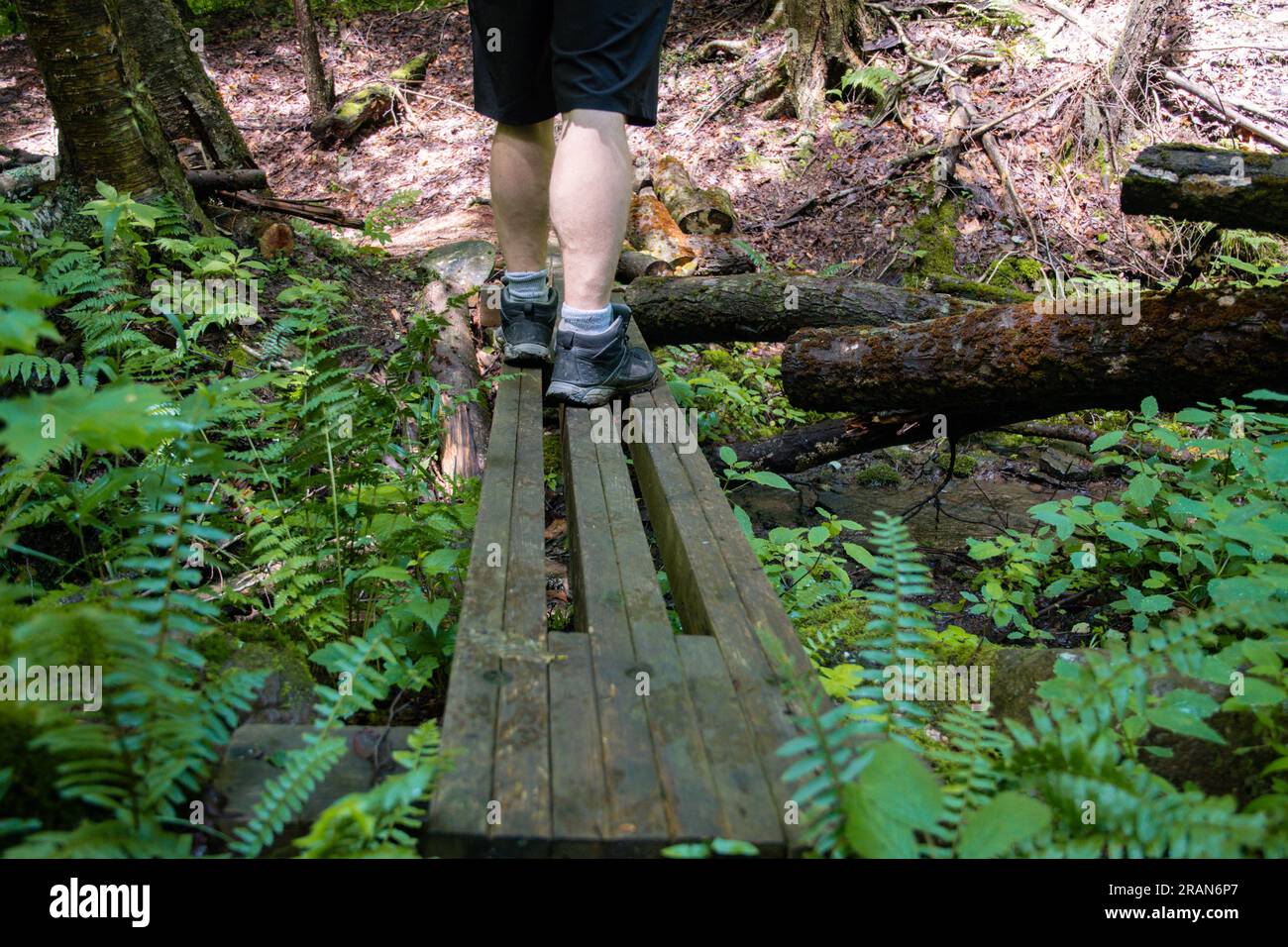 Hiker on a trail passing by obstacles in the woods focus on legs and ...