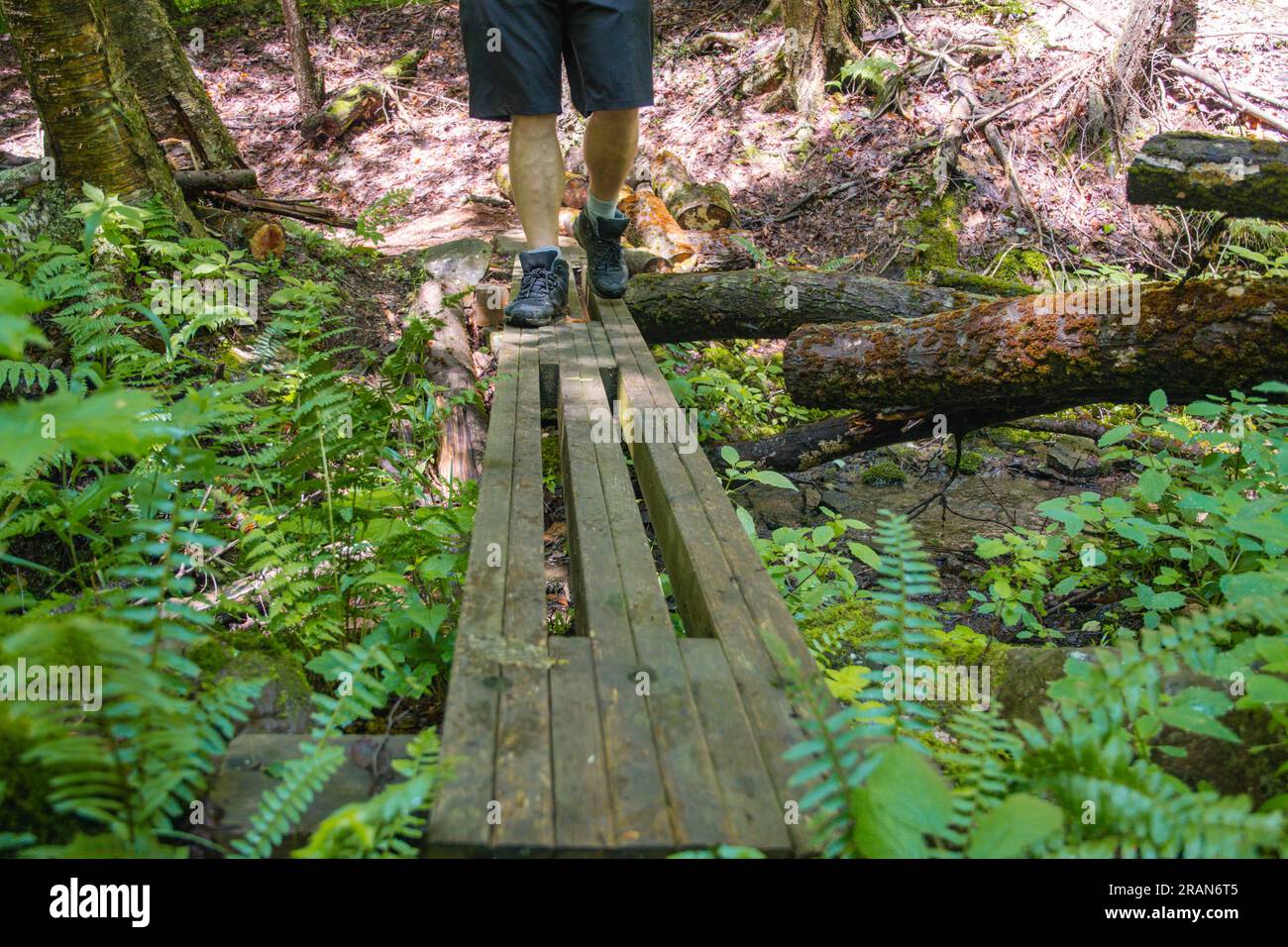 Hiker on a trail passing by obstacles in the woods focus on legs and ...