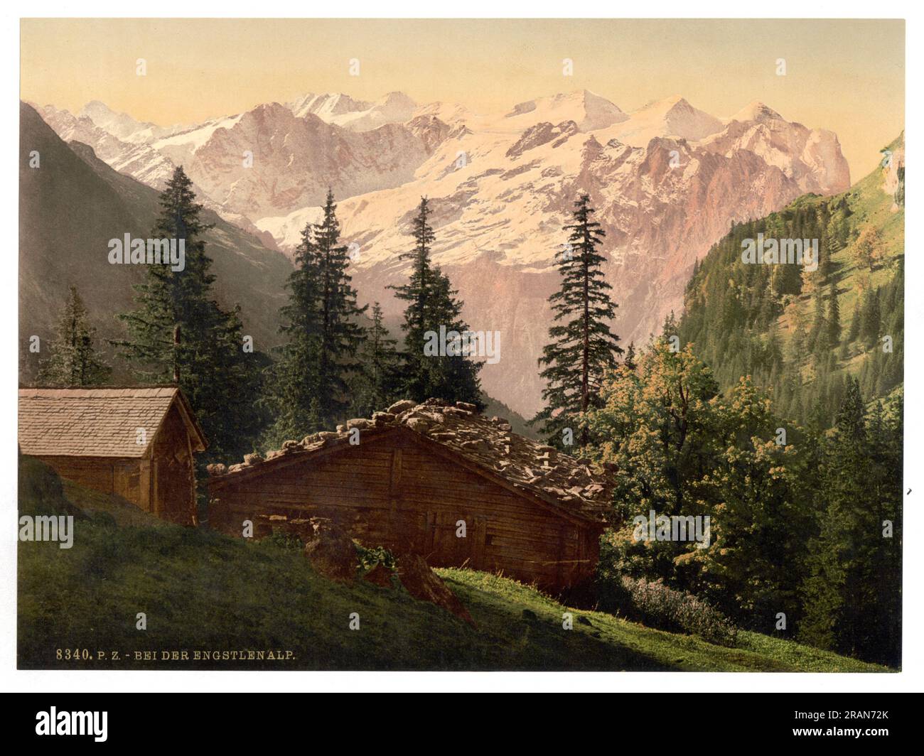Engstlenalp, Innertkirchen, Interlaken-Oberhasli, Bern, Switzerland ...