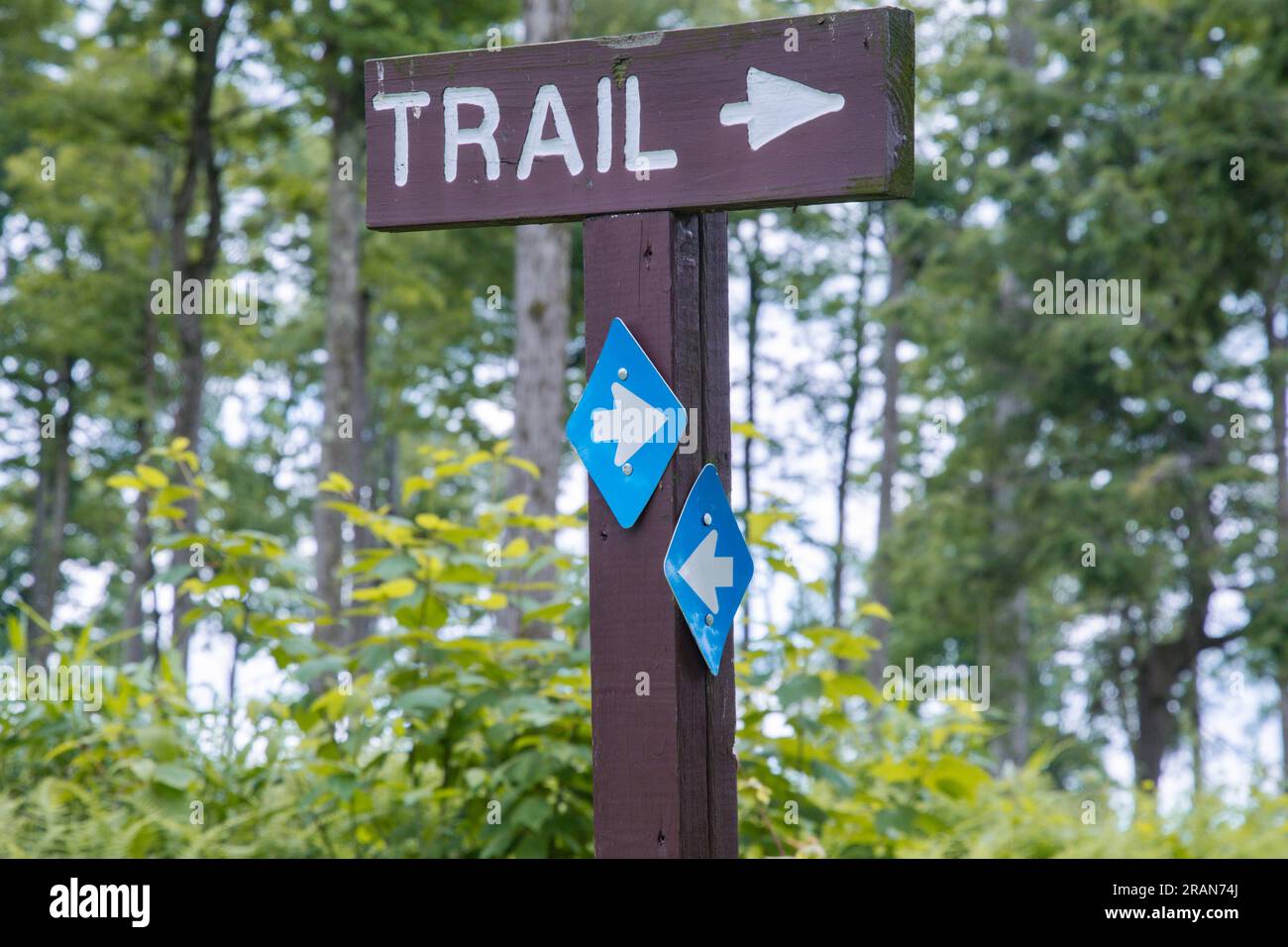 Hiking trail post/sign arrows showing direction copy space backgrounds ...