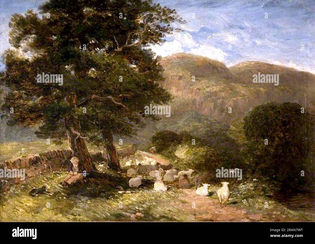 Tending sheep hi-res stock photography and images - Alamy