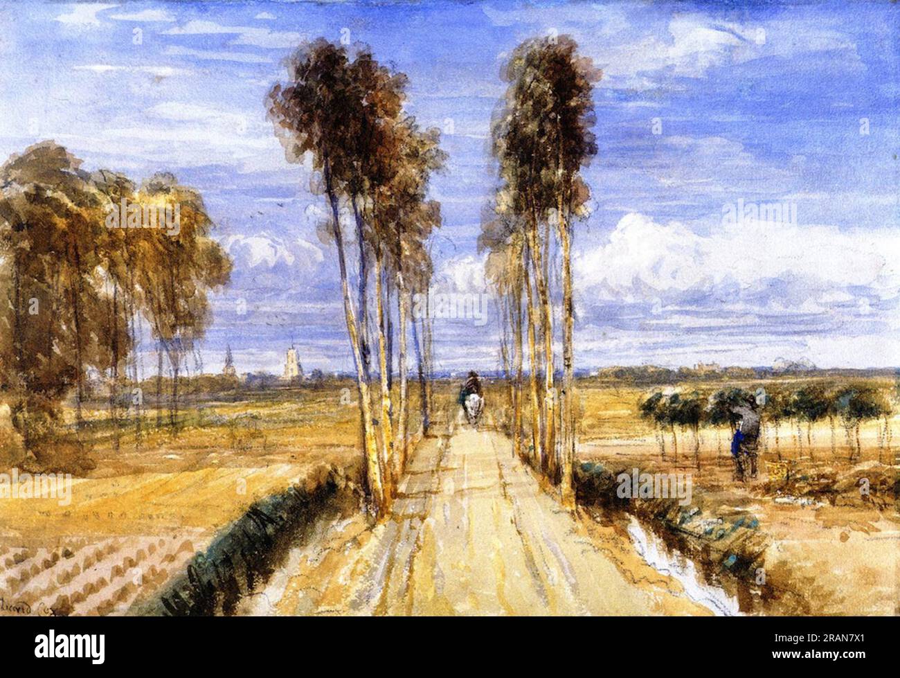 David cox the poplar avenue hi-res stock photography and images - Alamy