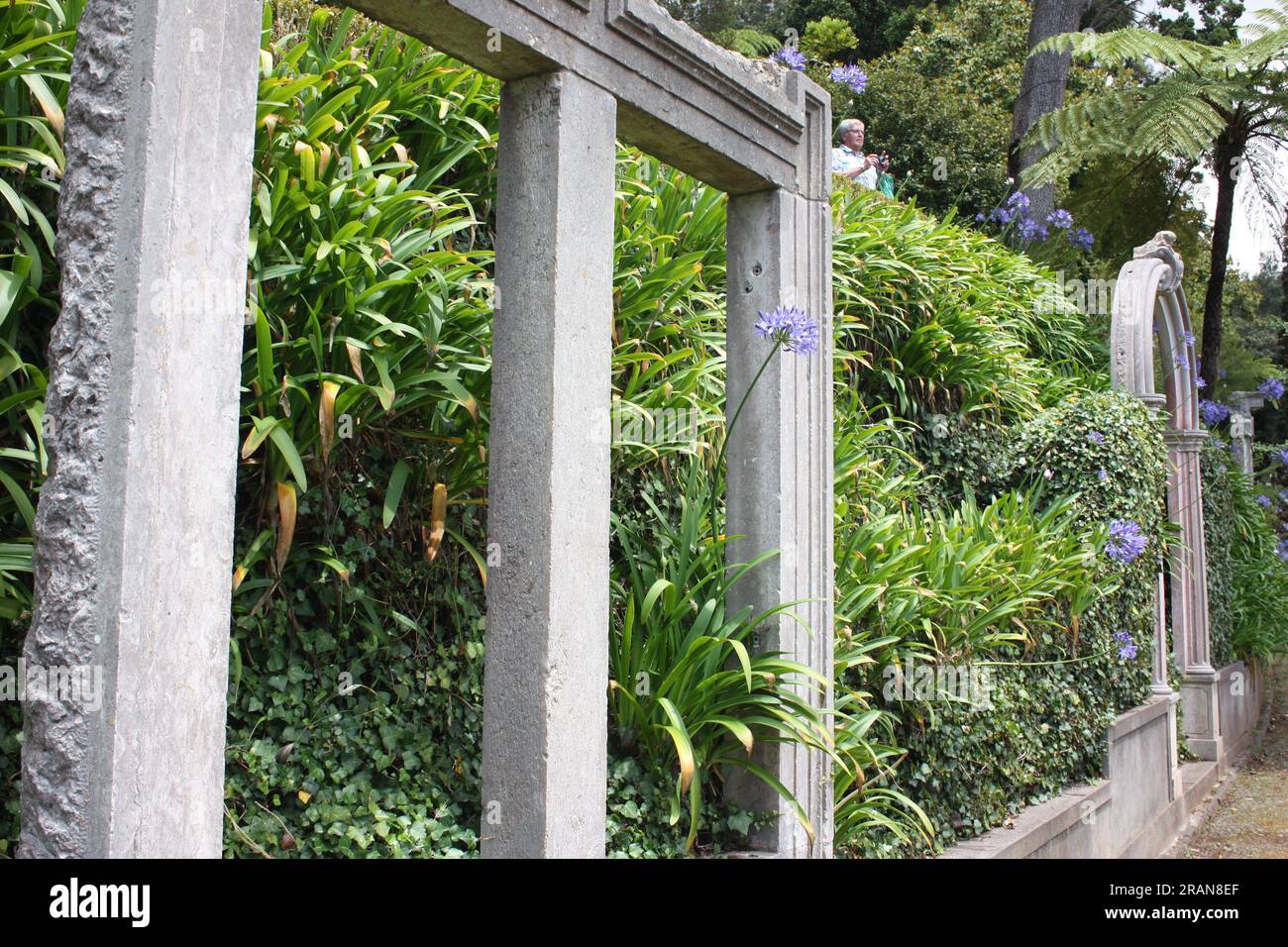 Arches along the Arch Walk in the Tropical Gardens of Monte, Funchal ...
