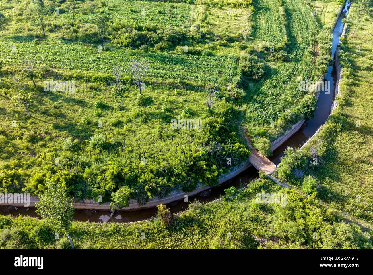 ANYANG, CHINA - JULY 4, 2023 - Yuejin Canal flows through the farmland ...