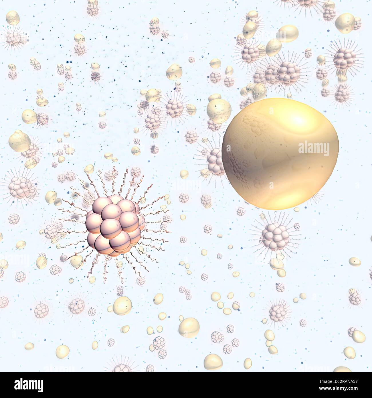 Constituents of milk, illustration Stock Photo - Alamy