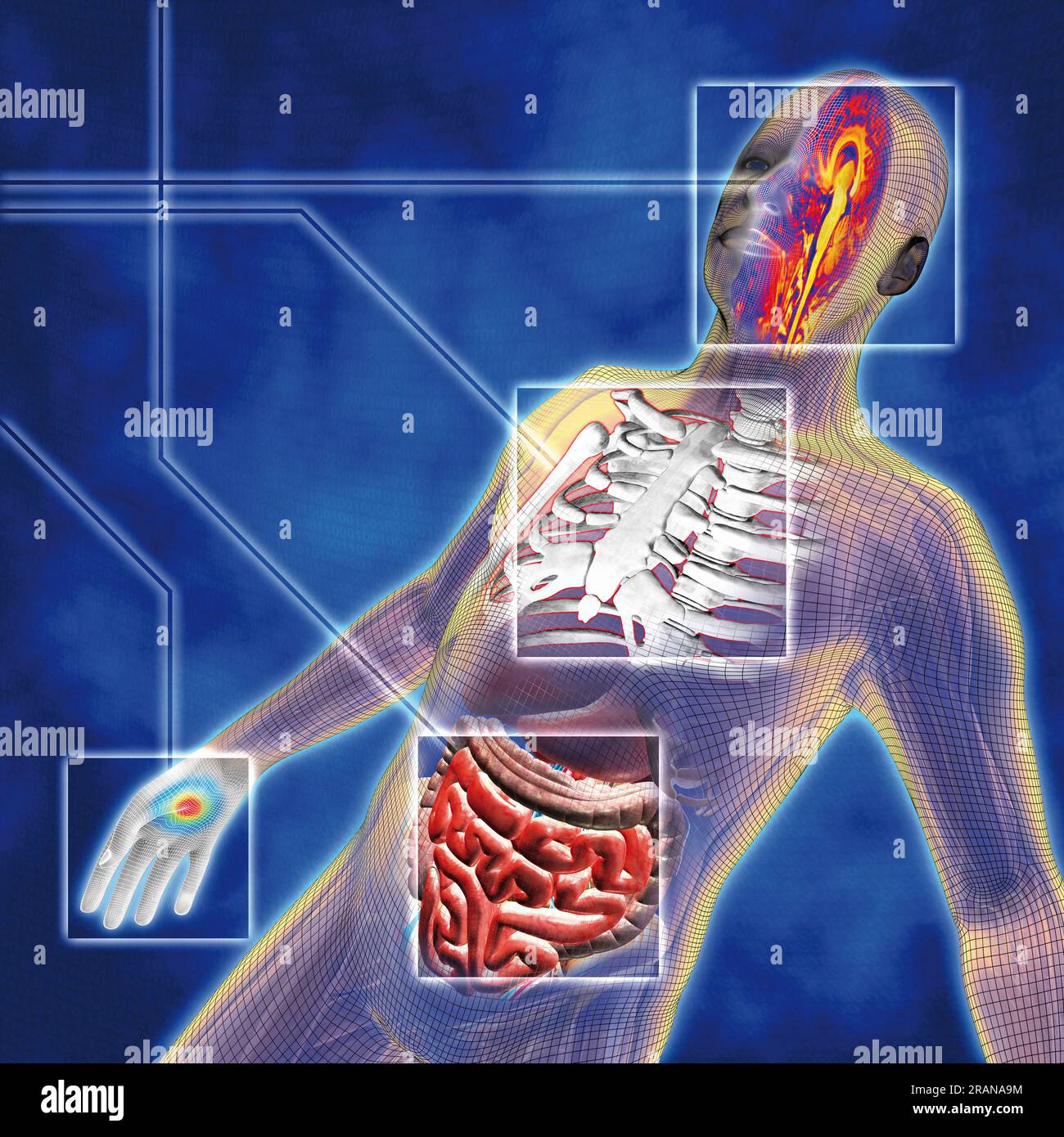 Medical imaging, conceptual illustration Stock Photo - Alamy
