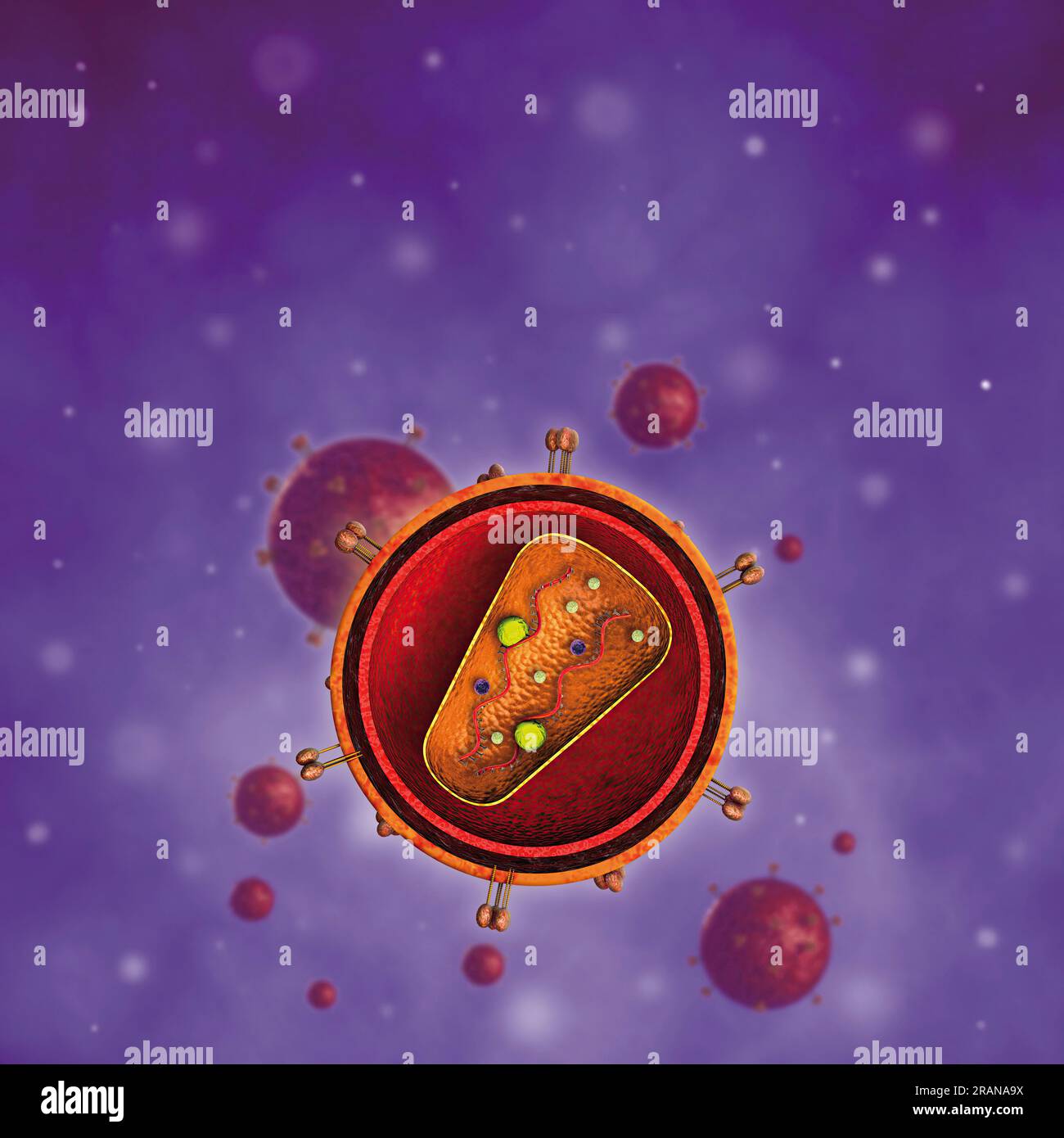HIV particle, illustration Stock Photo - Alamy