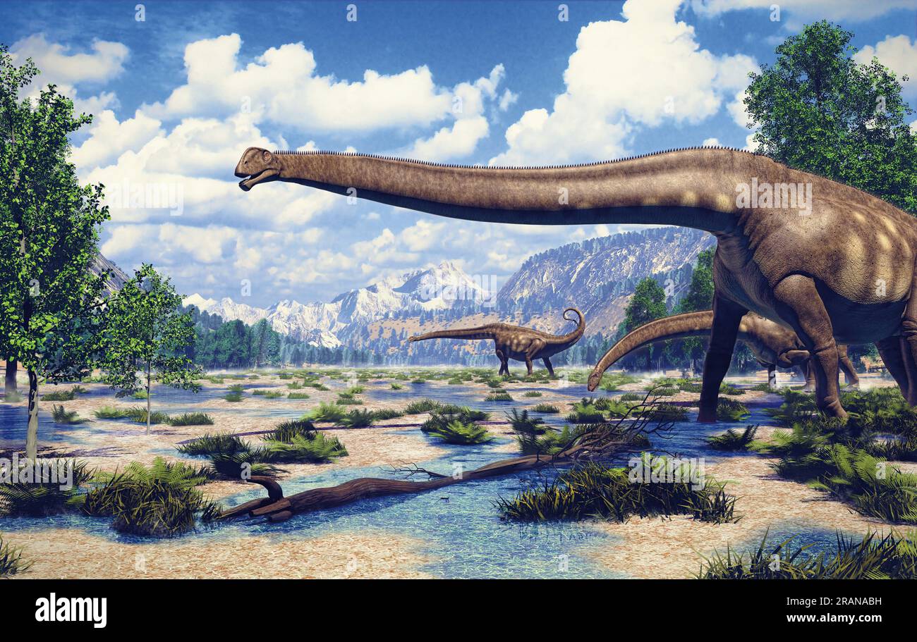 Diplodocus dinosaurs, illustration Stock Photo - Alamy