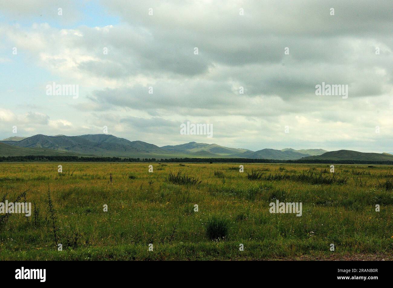 The boundless steppe with tall grass stretches along the foot of the ...