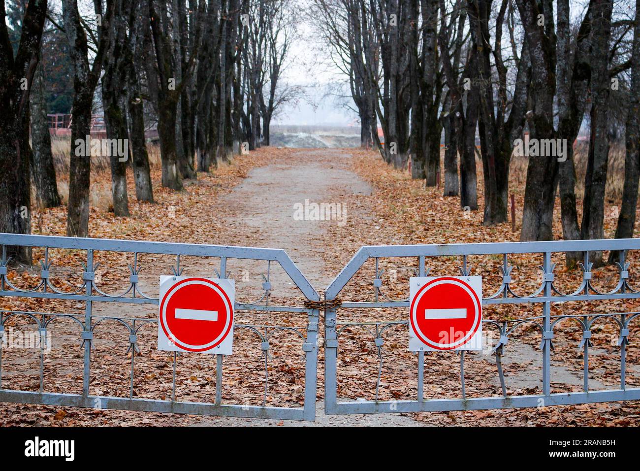 Passage is closed (no pass), maple alley in autumn Stock Photo - Alamy