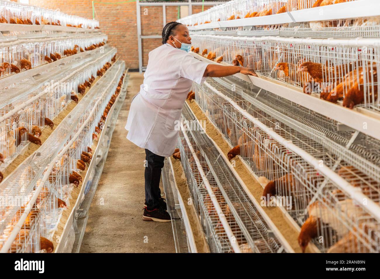 (230705) -- RUBAVU, July 5, 2023 (Xinhua) -- A worker checks on the ...