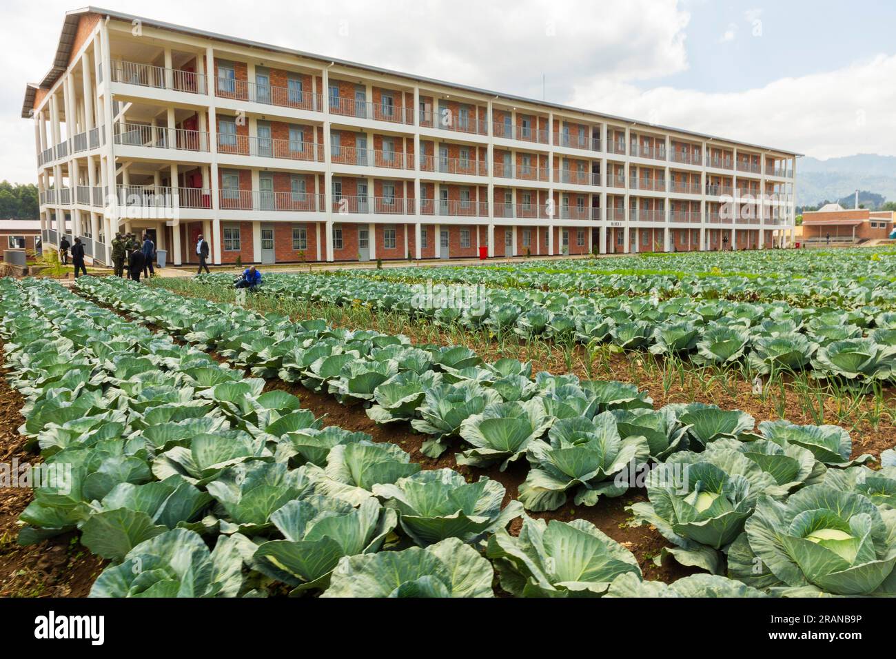 (230705) -- RUBAVU, July 5, 2023 (Xinhua) -- This photo taken on July 4 ...
