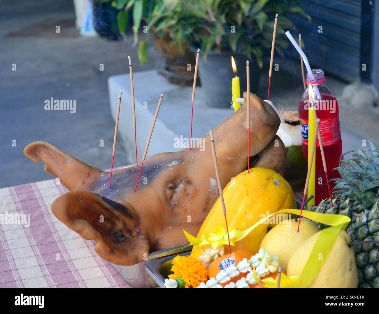 Pigs head shrine hi-res stock photography and images - Alamy