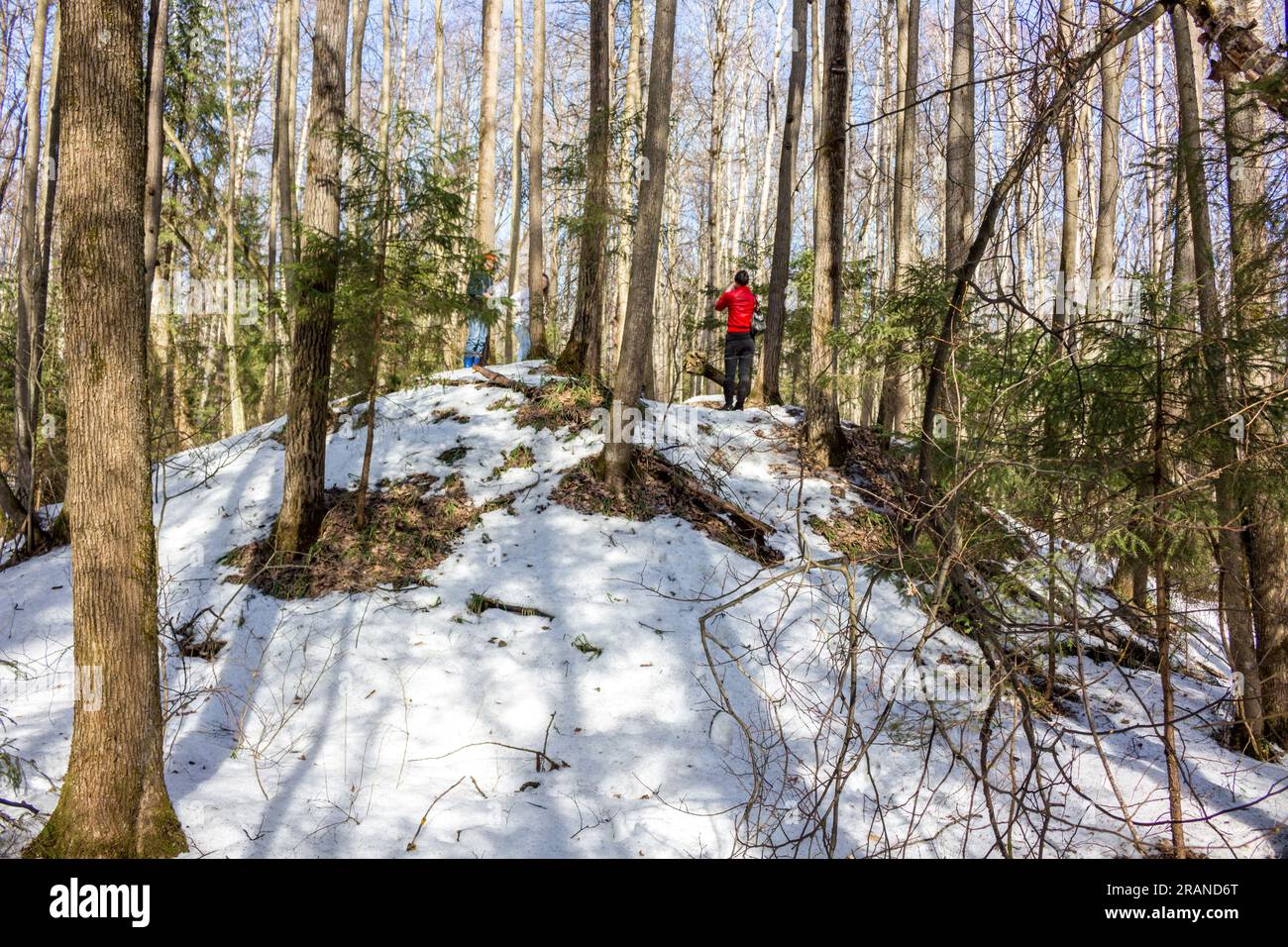 Ancient Baltic and Slavic mounds in the winter forest, Kaluga reion ...