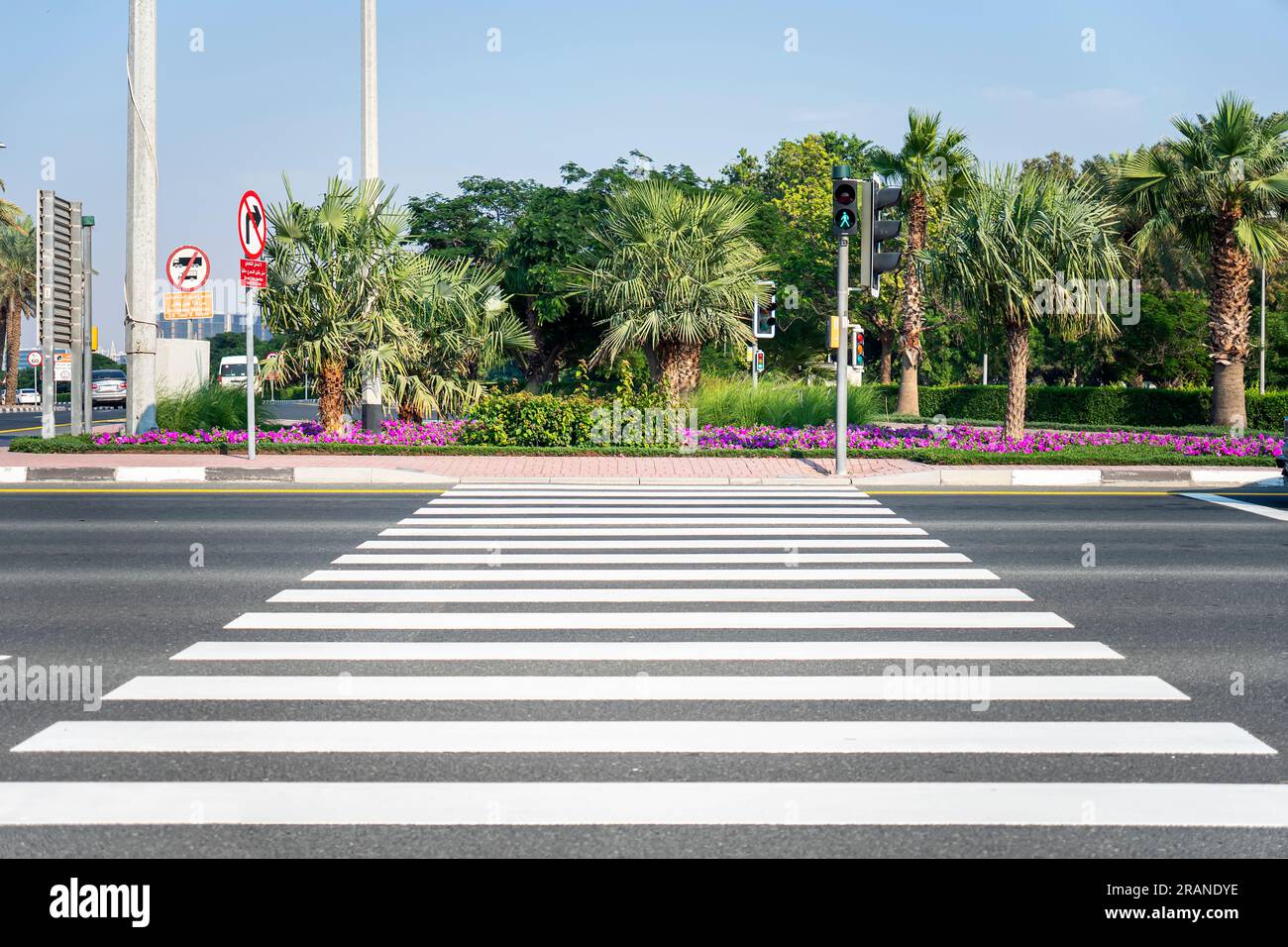 White stripes of pedestrian crossing. white road markings on the ...