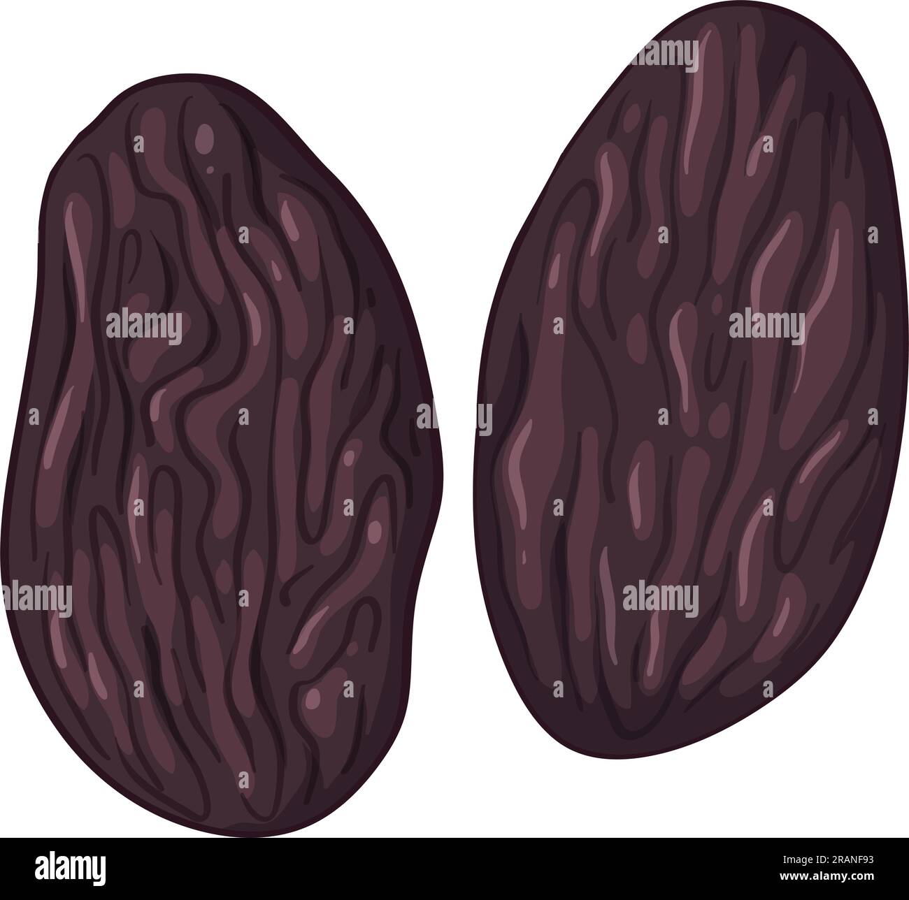 Two Isolated Raisins Vector illustration Stock Vector Image & Art - Alamy