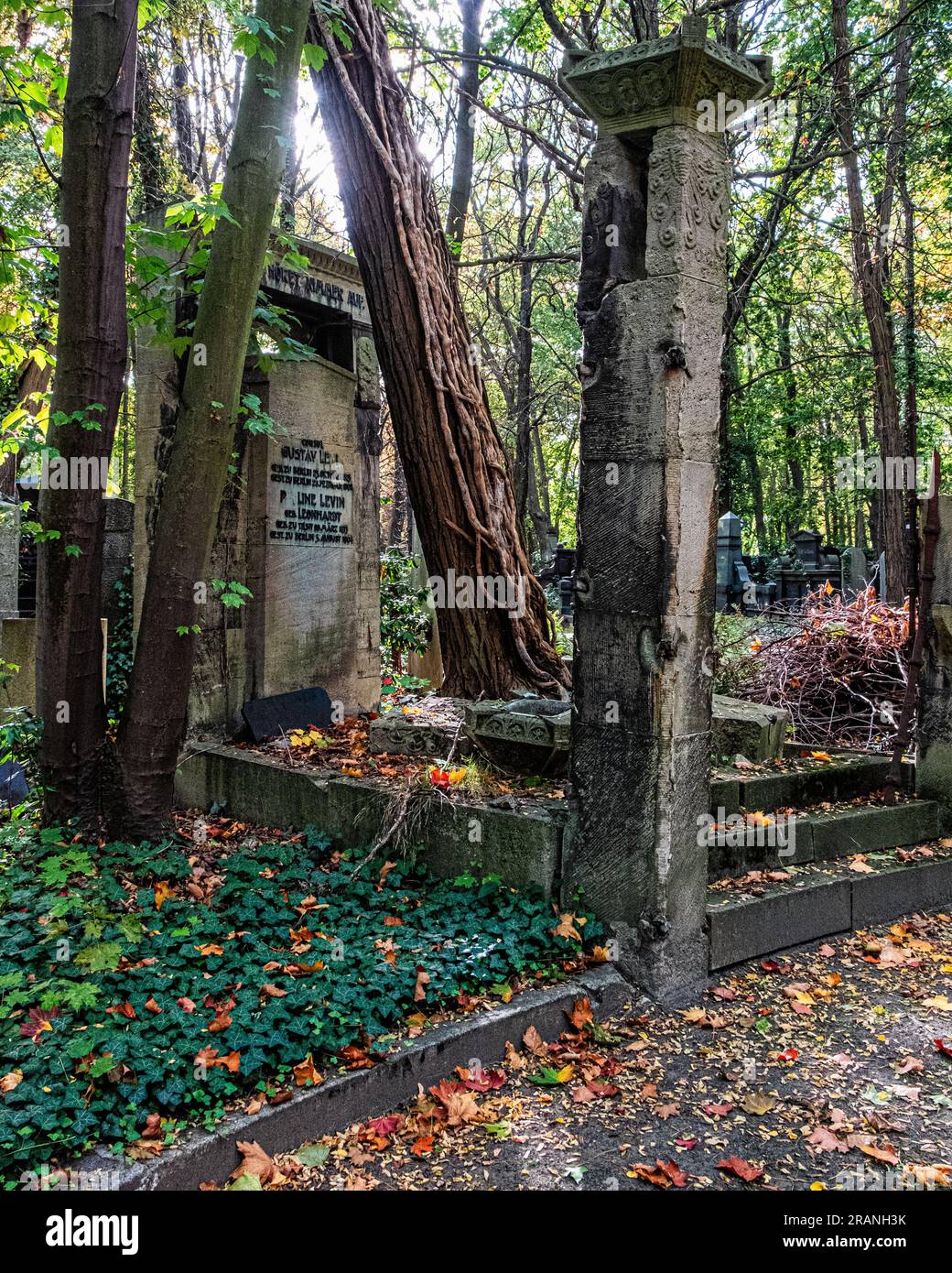 Tree growing through dilapidated Grave in Jewish Cemetery,Herbert Baum ...