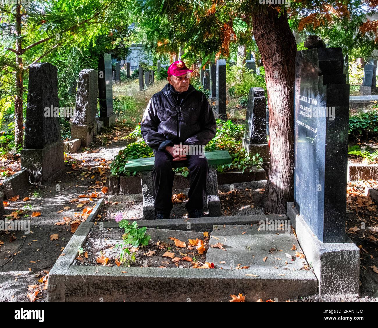 Senior sitting next stone hi-res stock photography and images - Alamy