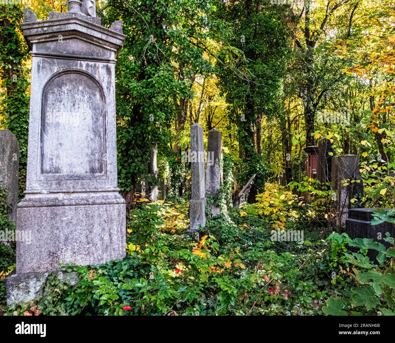 Overgrown graves in Weissensee Jewish Cemetery, Herbert Baum Strasse ...