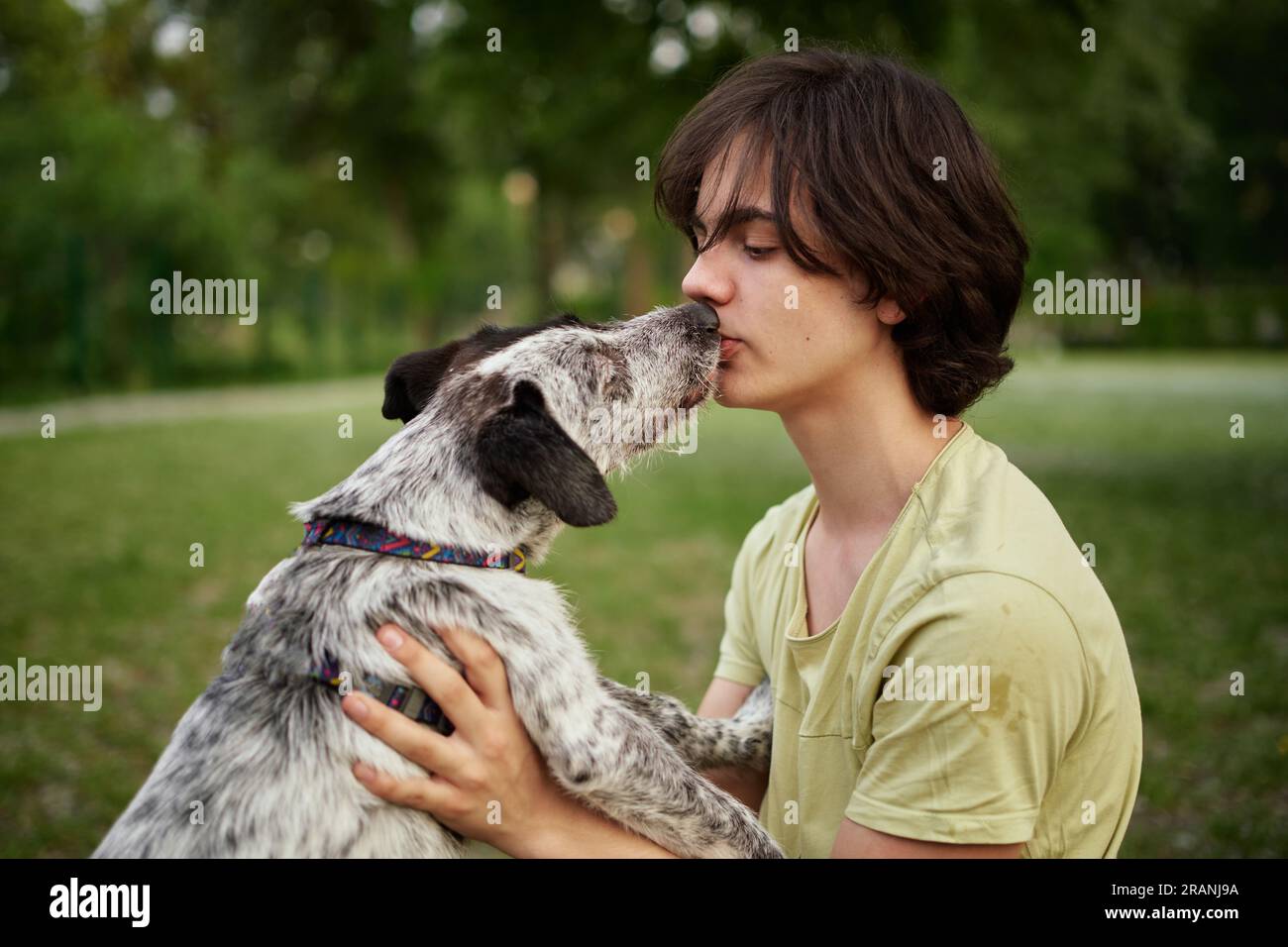 Outdoor portrait of boy with his adopted dog. Friendship of teenager ...