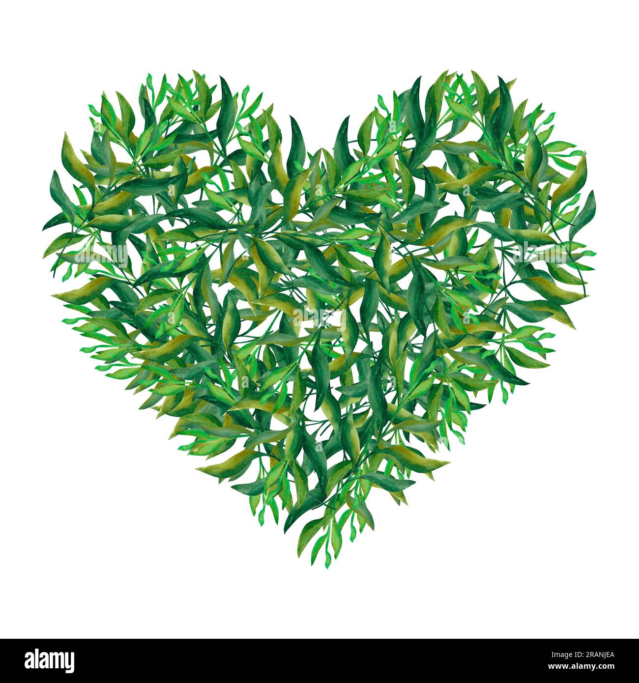 Abstract leaves. A circle of beautiful green twigs folded into a heart ...