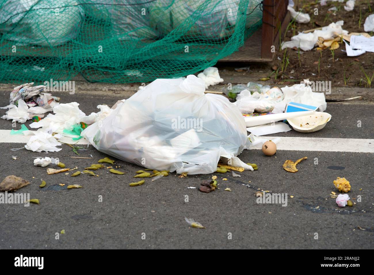 Sorted raw garbage bags or waste bag. Garbage devoured by crows Stock ...