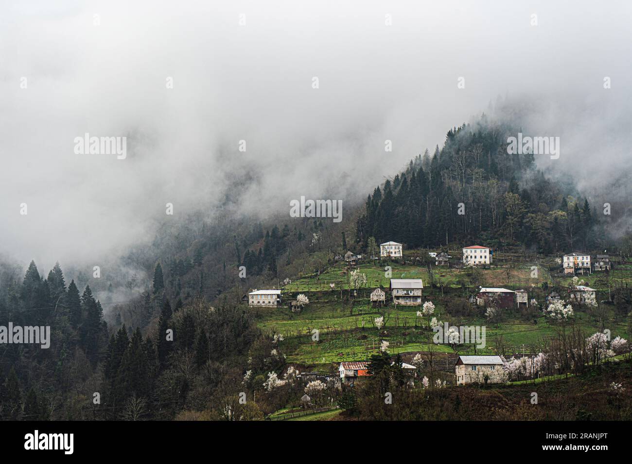 Little village in the Adjarian mountain region of Georgia in misty day ...