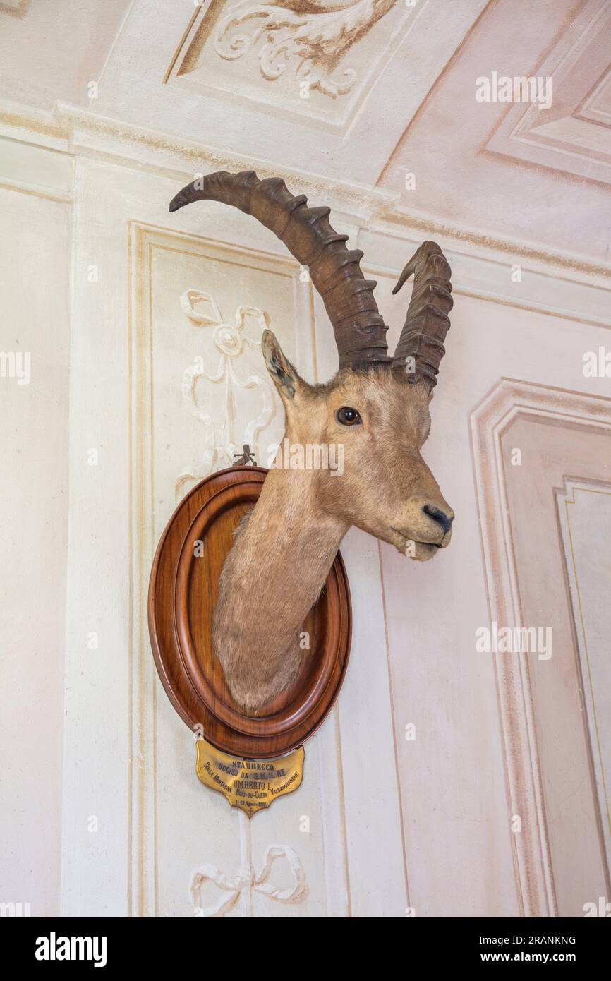 bird corridor, Castello della Mandria, Turin, Piedmont, Italy Stock ...