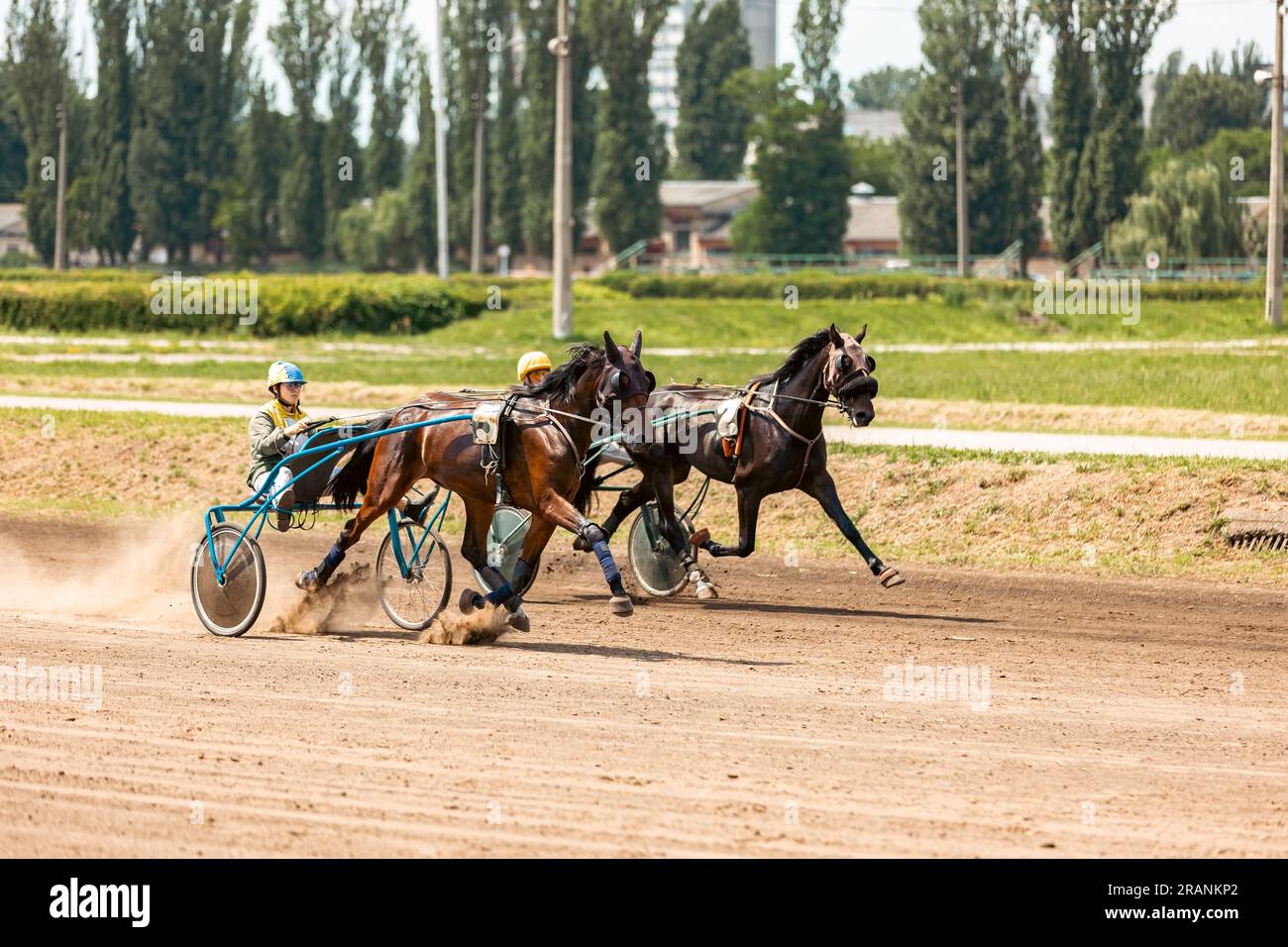 Testing of horses of trotting breeds - July 02.2023: Kyiv, Ukraine ...