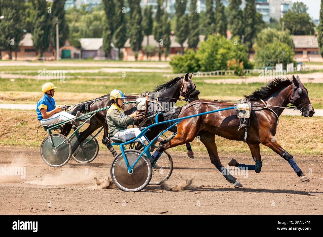 Testing of horses of trotting breeds - July 02.2023: Kyiv, Ukraine ...