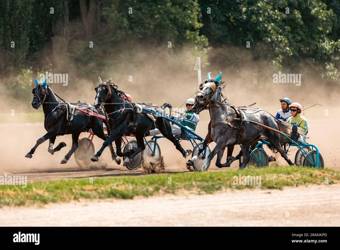 Testing of horses of trotting breeds - July 02.2023: Kyiv, Ukraine ...