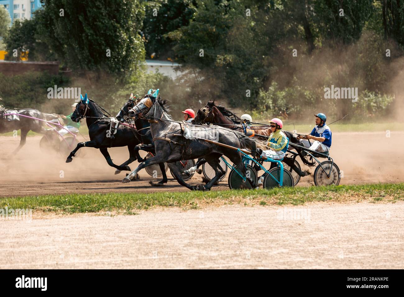 Testing of horses of trotting breeds - July 02.2023: Kyiv, Ukraine ...