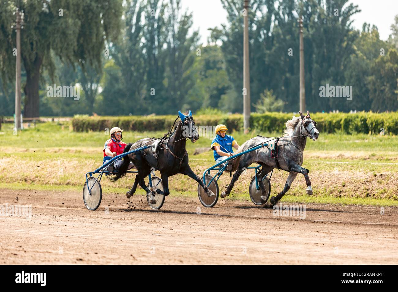 Testing of horses of trotting breeds - July 02.2023: Kyiv, Ukraine ...