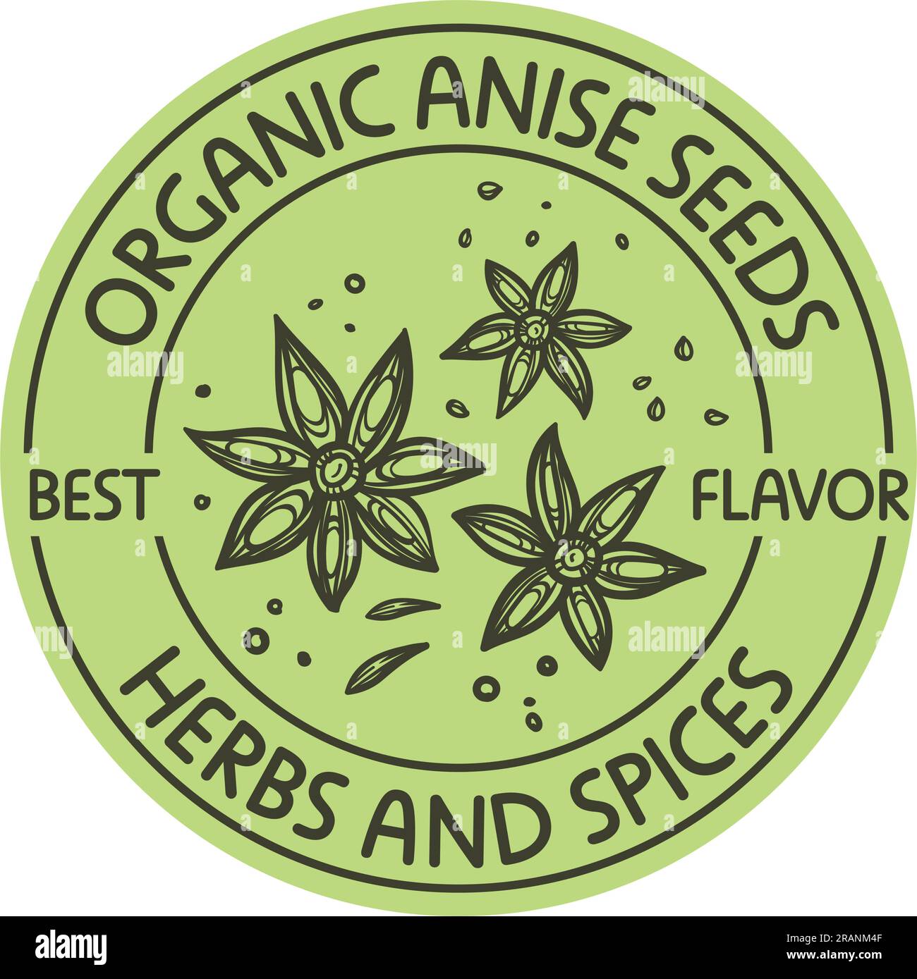 Star anise seeds on Stock Vector Images - Alamy