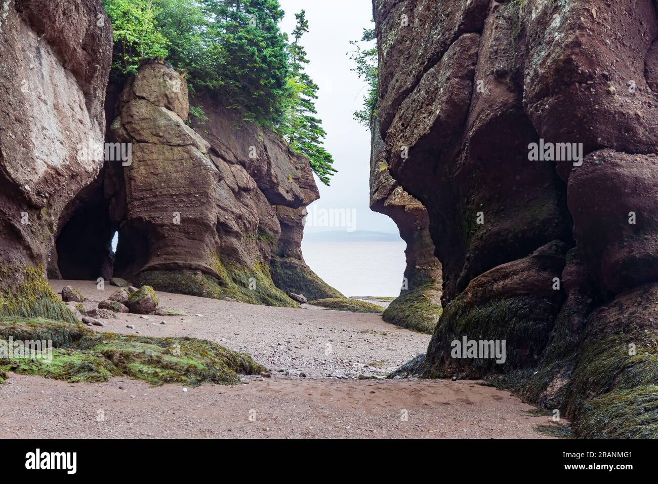 The bay of Fundy, New Brunswick.This bay is famous for having the ...