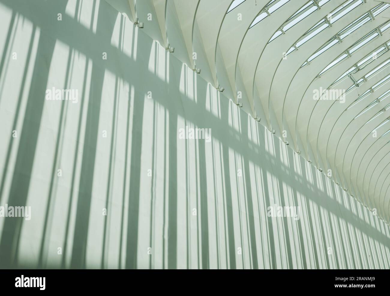 Architecture stripe dark shadows indoor in room background. Abstract ...