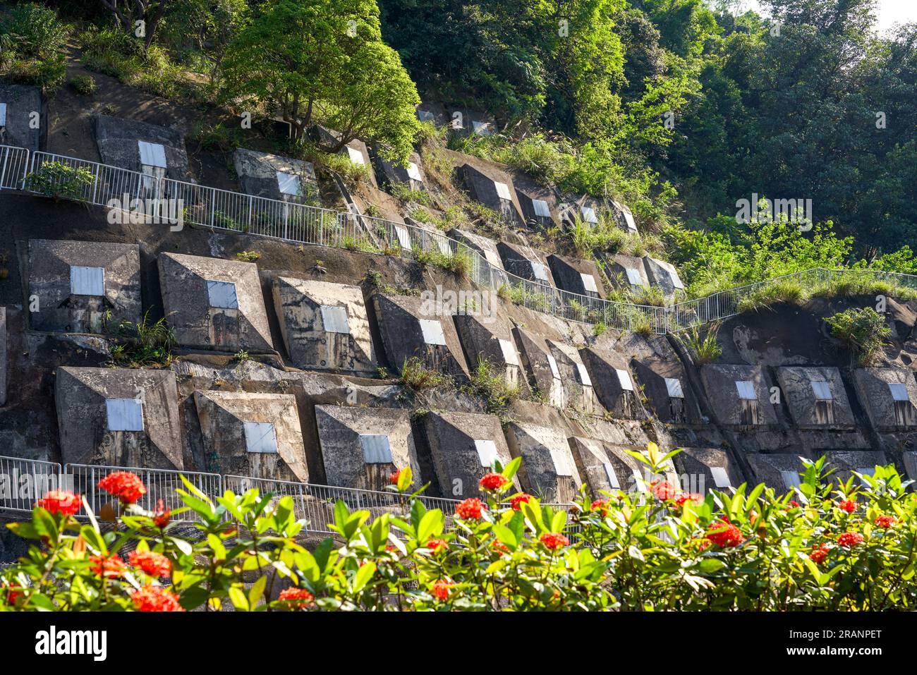 Protective buildings built on hillsides in Hong Kong Stock Photo - Alamy