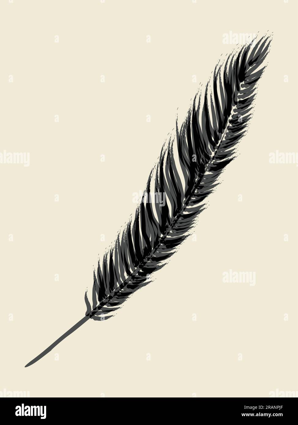 Brush feather Stock Vector Images - Alamy