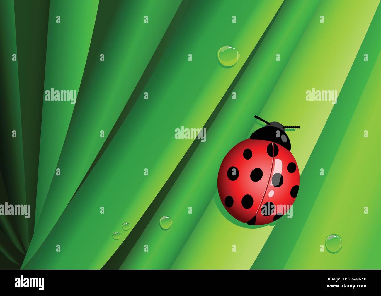Graphic illustration of a lady bug on green leaves Stock Vector Image ...