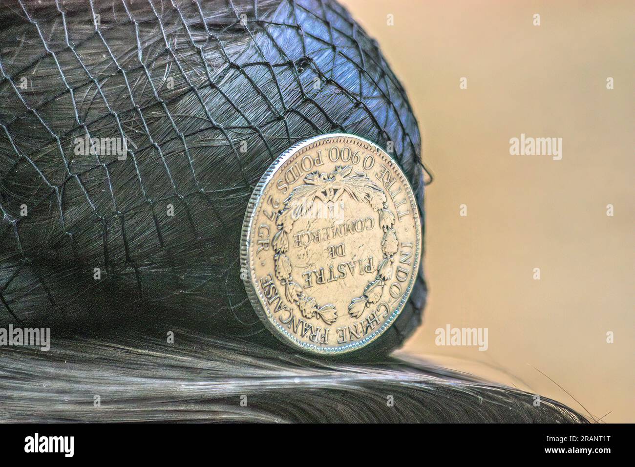 Piastre hi-res stock photography and images - Alamy