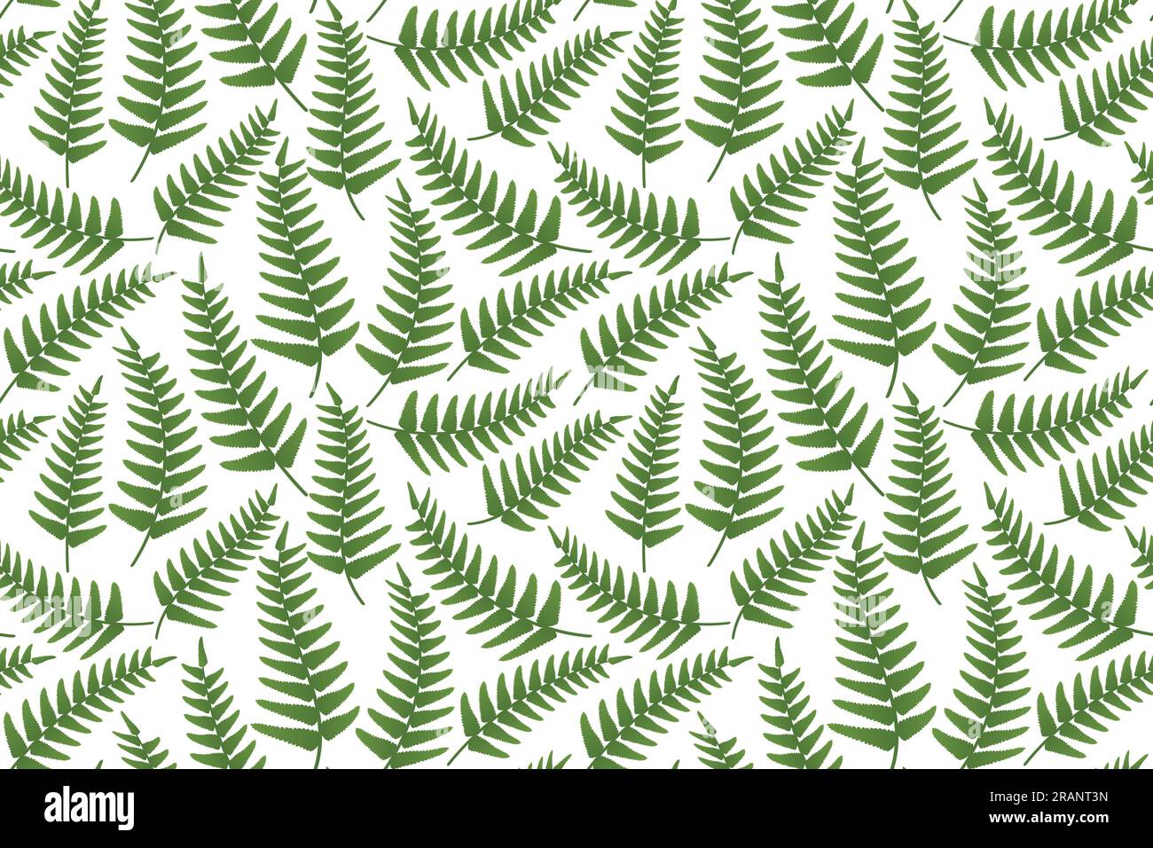 Lush green fern leaf Stock Vector Images - Alamy