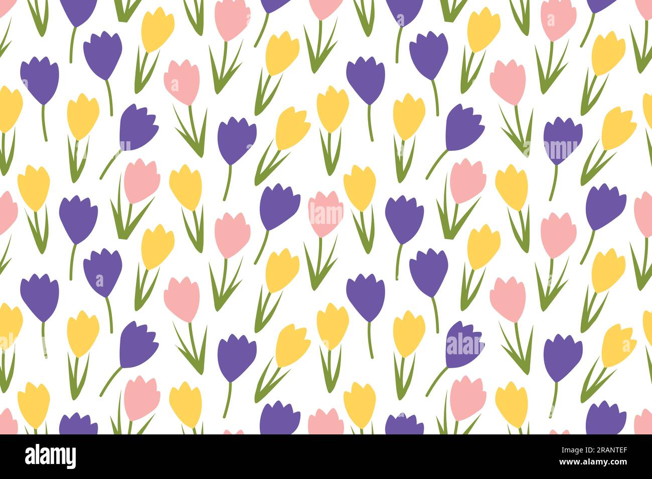seamless spring pattern with crocus flowers- vector illustration Stock ...