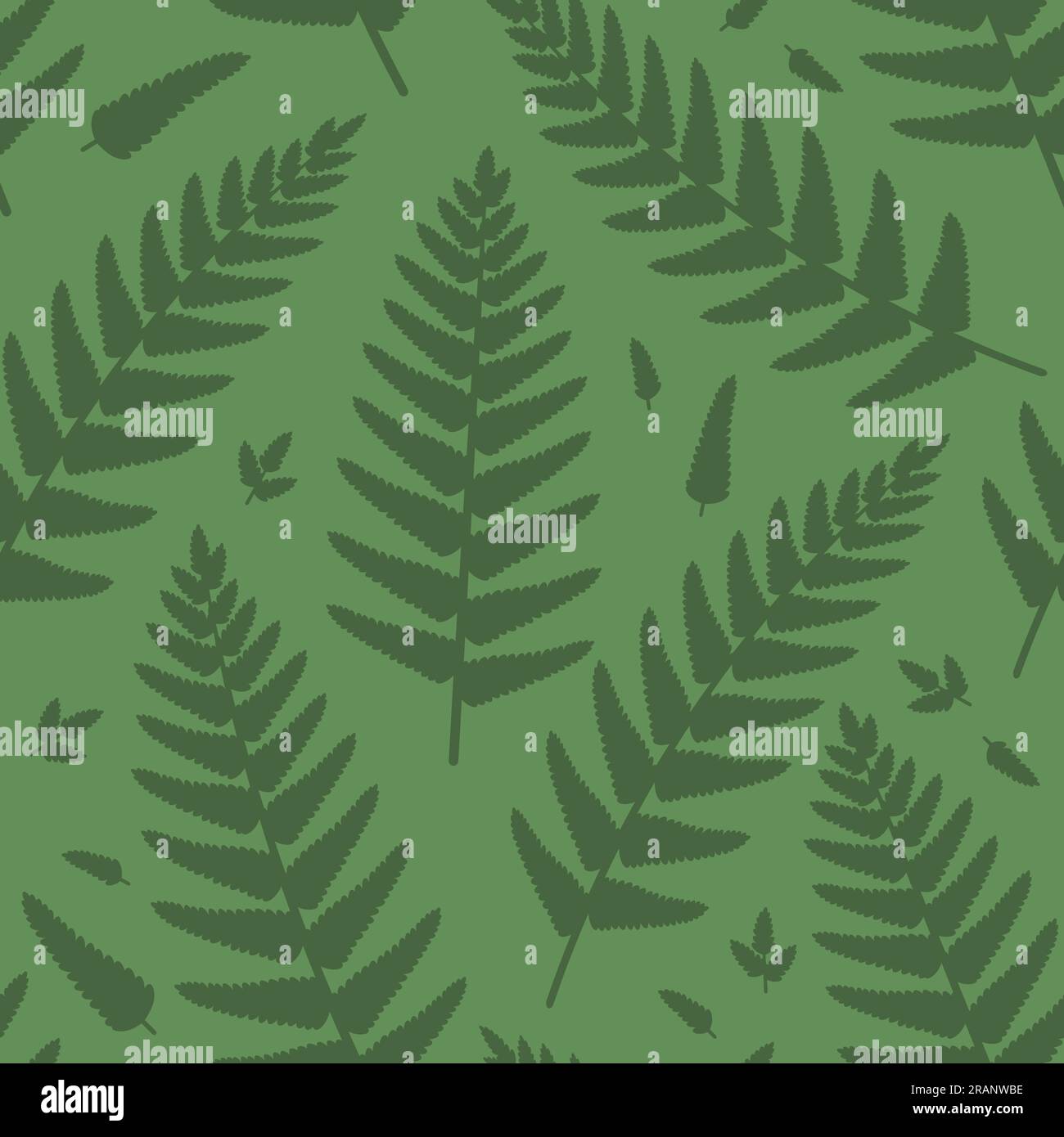 seamless pattern with green forest fern leaves - vector illustration ...