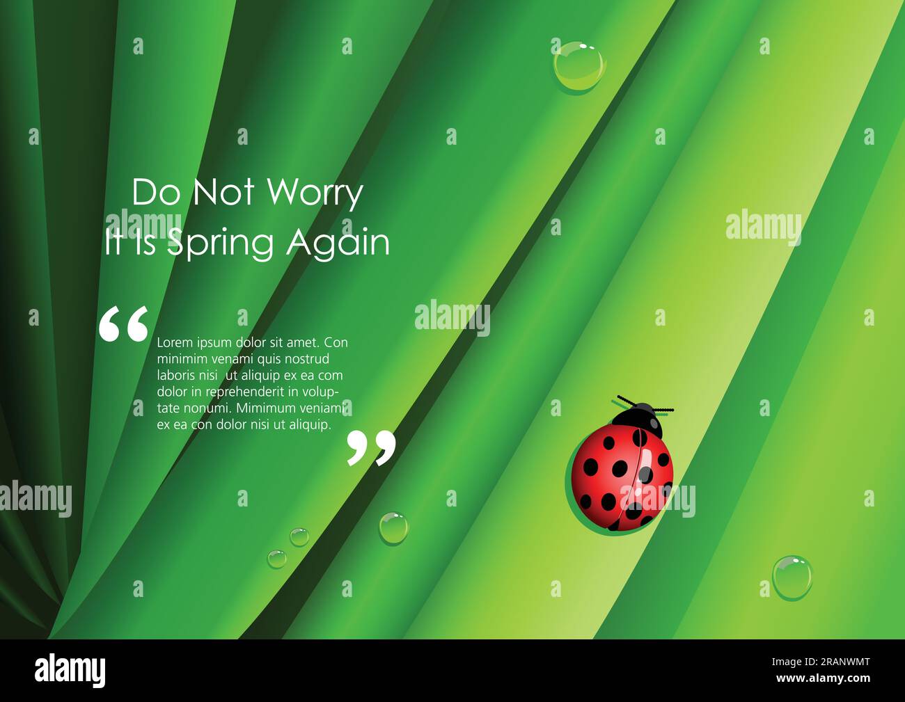 Graphic illustration of a lady bug on green leaves with motivational ...