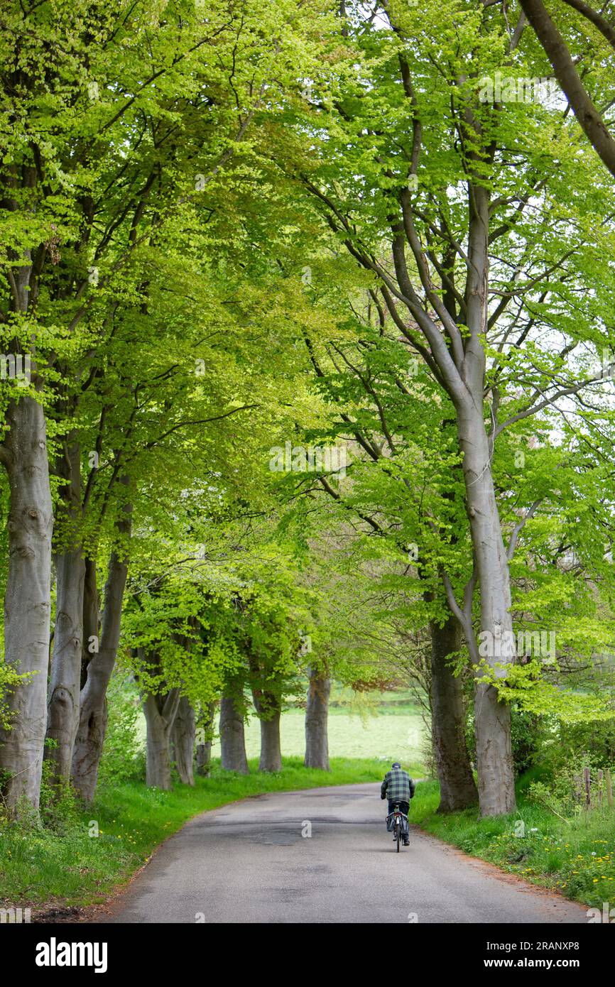 Public transportation in limburg hi-res stock photography and images ...