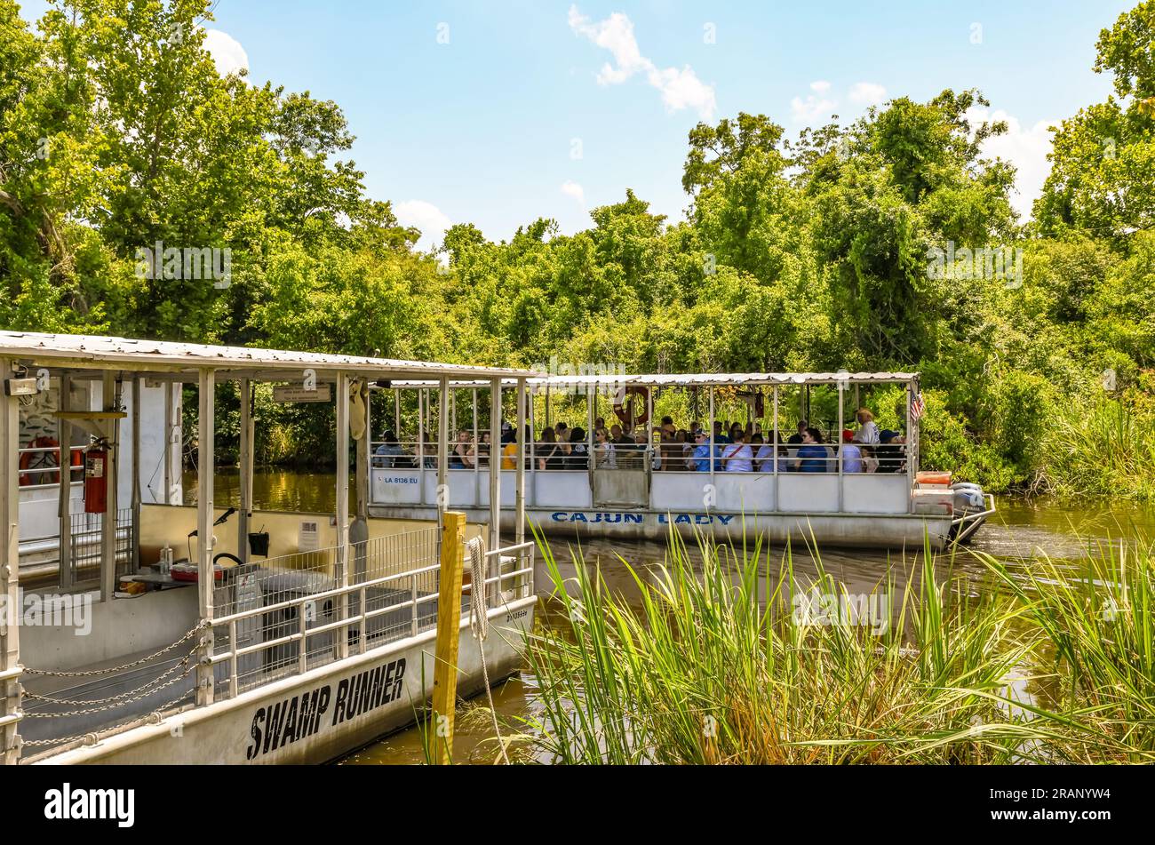 Swamp tour hi-res stock photography and images - Alamy