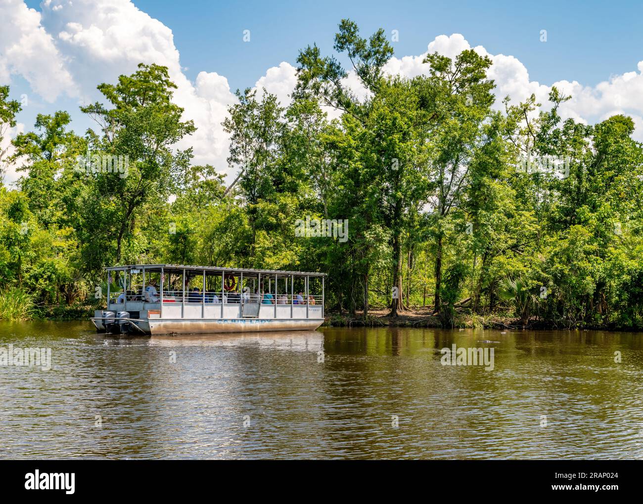 Swamp tour hi-res stock photography and images - Alamy