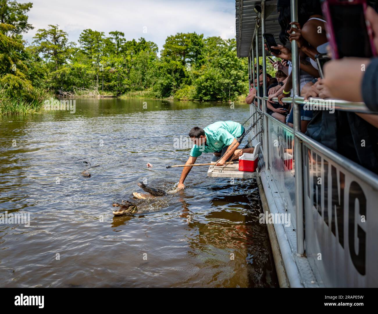 Swamp tour hi-res stock photography and images - Alamy